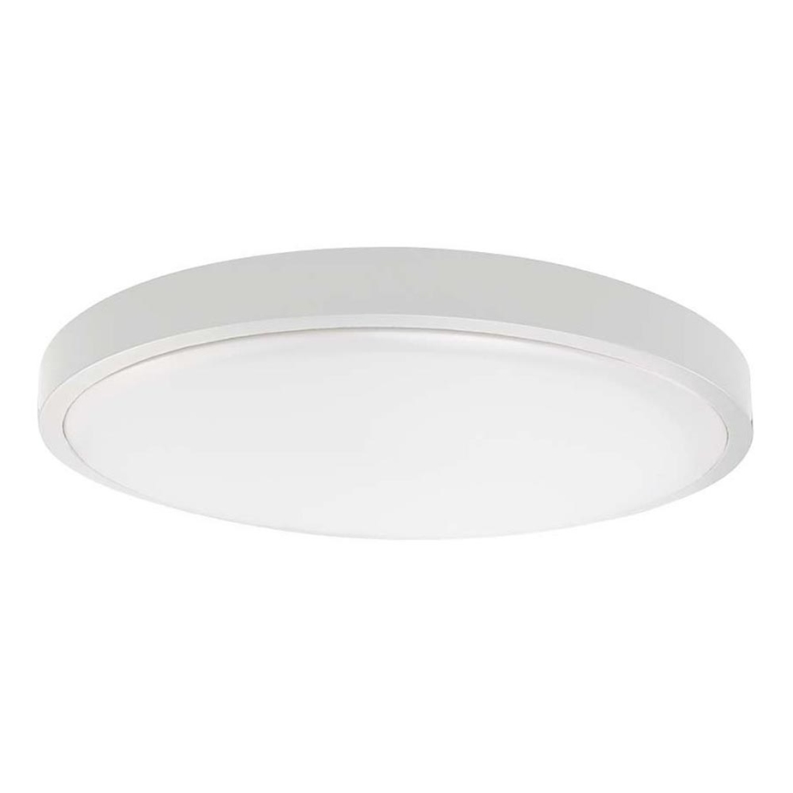 LED Badkamer plafondlamp LED/36W/230V 4000K IP44 wit | Lumimania