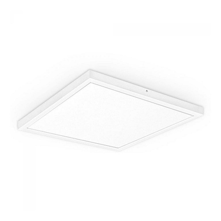 LED Paneel opbouw XELENT 60 LED/40W/230V 4000K IP40 | Lumimania