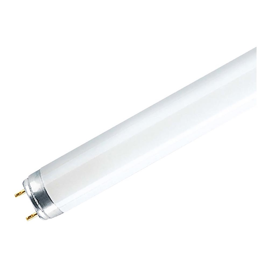 Tube fluorescent G13/36W/230V 6500K 120 cm | Lumimania